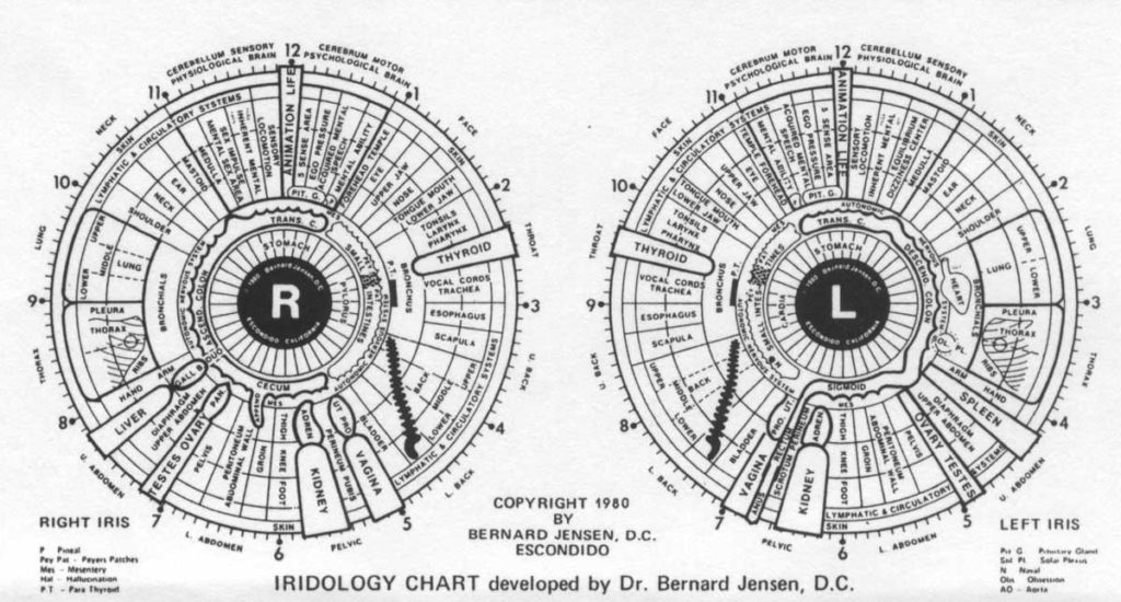 Iridologie : découvrez ce que vos yeux ont à dire de votre santé