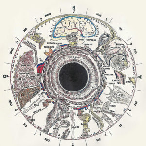 Iridologie : découvrez ce que vos yeux ont à dire de votre santé